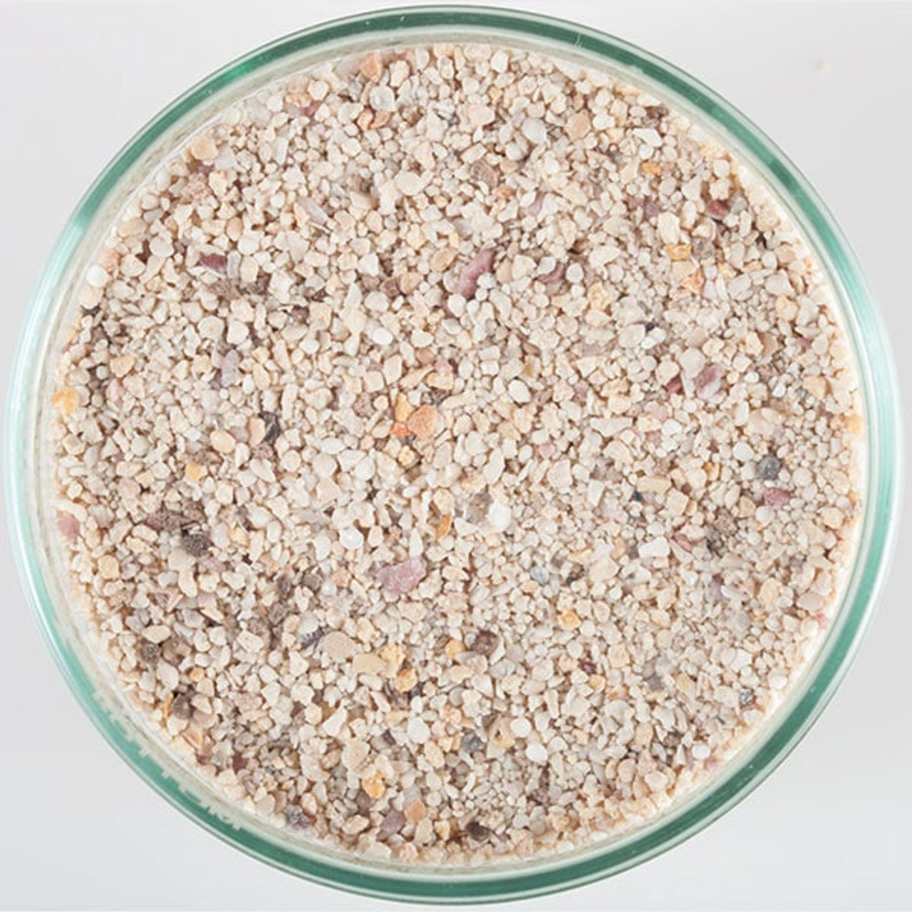 Substrates – Seastainable Supply