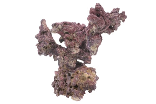 LifeRock Nano Tree 1 pk – Seastainable Supply